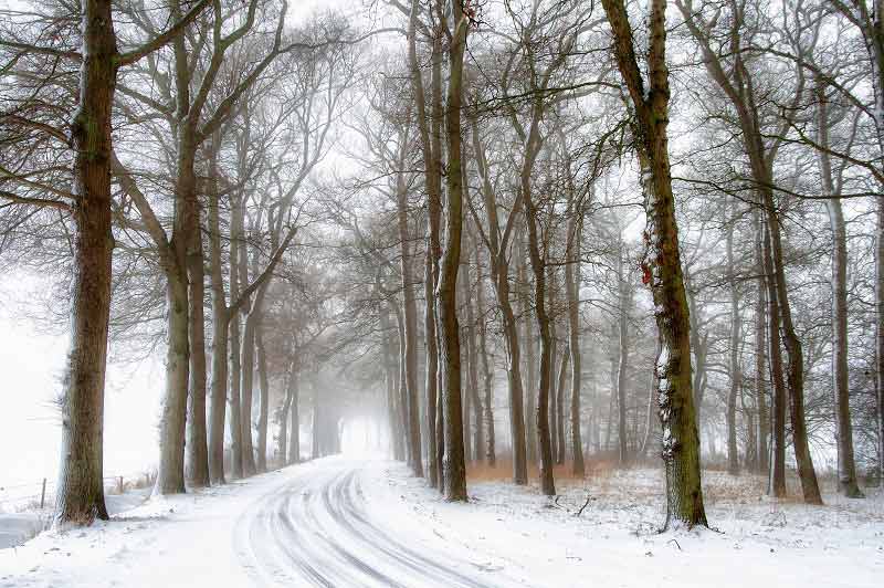 Letting go of Winter - WinterReview